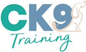 Doggy Day Care | Acres 4 Dogs - South West London & Surrey