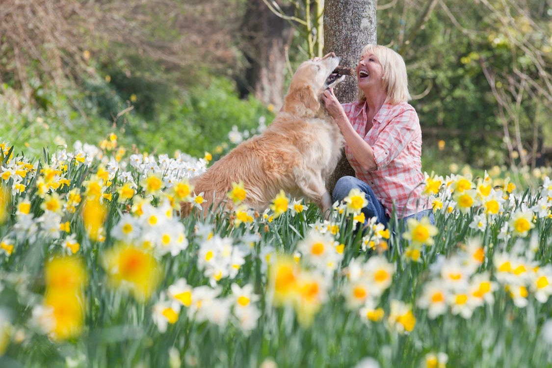 Understanding Allergies in Dogs - Acres 4 Dogs - Doggy Day Care