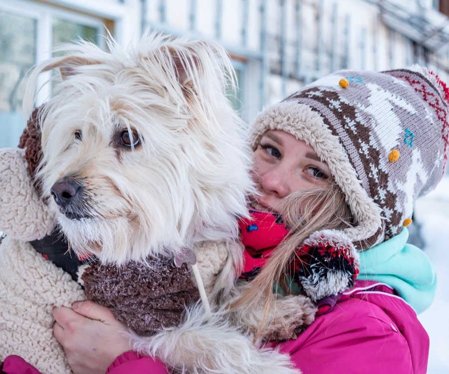 How to Keep Your Dog Happy and Active in Winter | Acres 4 Dogs